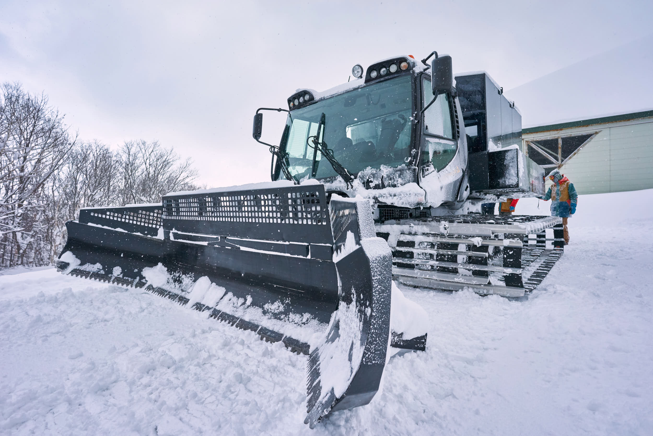 Japan's Powder Snow Is Next Level - Adventure Fella