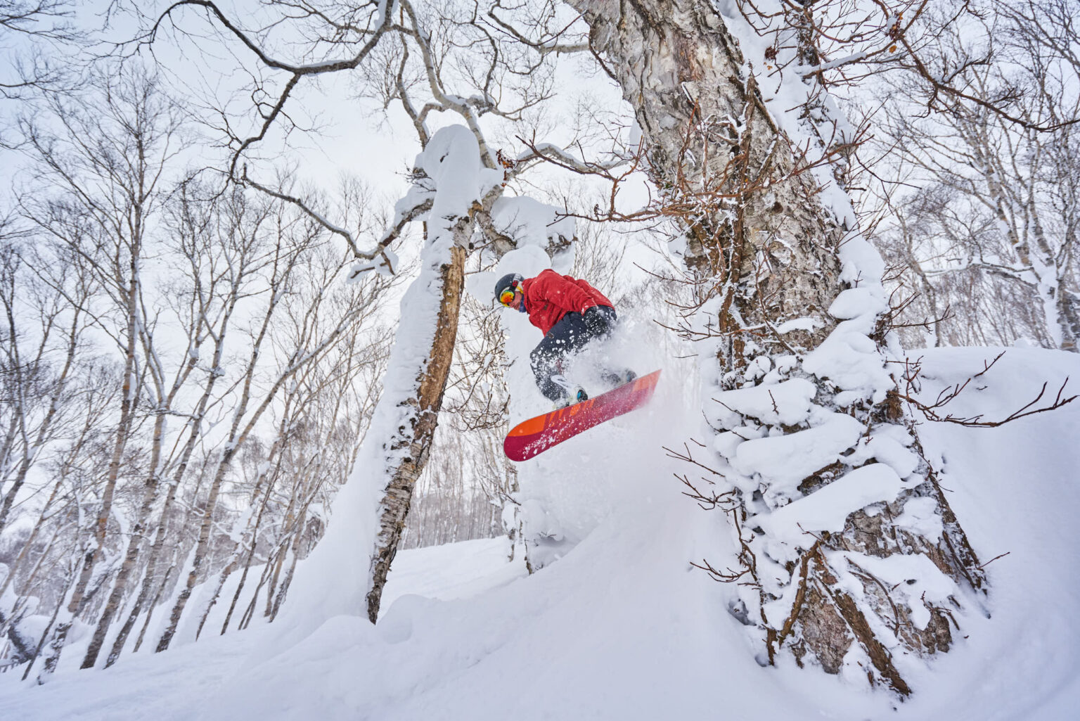 Japan's Powder Snow Is Next Level - Adventure Fella
